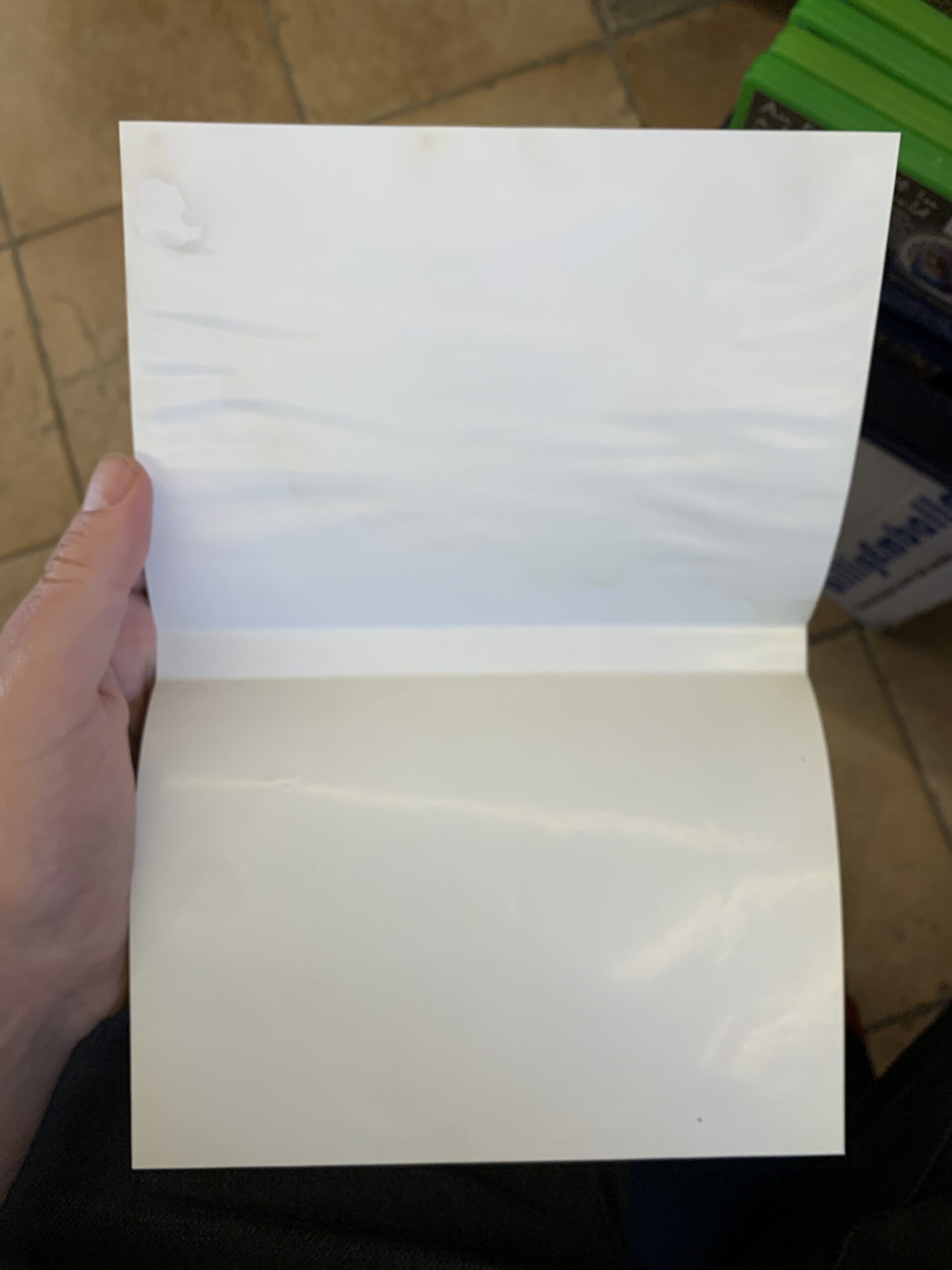 Still Life(Xbox OG) – se billeder – Nintendopusheren